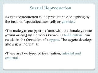 Lesson 4.1 Introduction of Reproduction | PPT