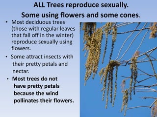 Reproduction 2 student version | PPT