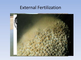 Reproduction 2 student version | PPT