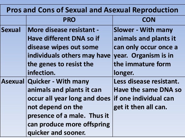 Reproduction 2 student version