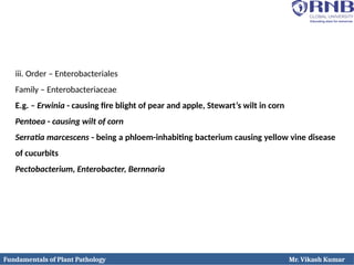 Reproduction and classification of plant pathogenic bacteria.pptx
