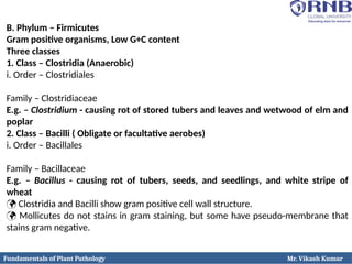 Reproduction and classification of plant pathogenic bacteria.pptx