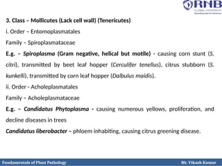 Reproduction and classification of plant pathogenic bacteria.pptx