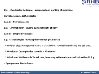 Reproduction and classification of plant pathogenic bacteria.pptx