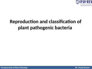 Reproduction and classification of plant pathogenic bacteria.pptx