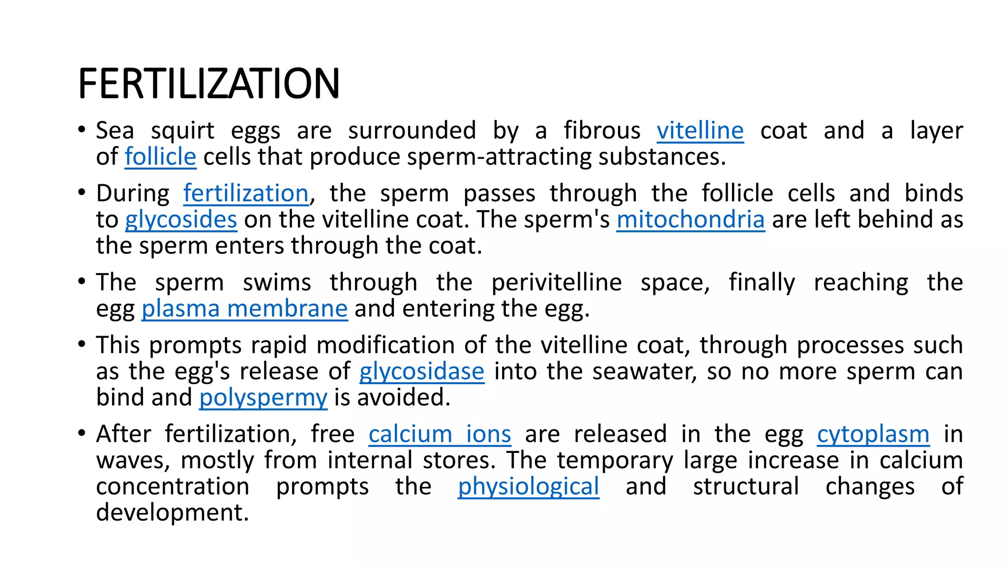 Reproduction and colony formation in tunicates.pptx