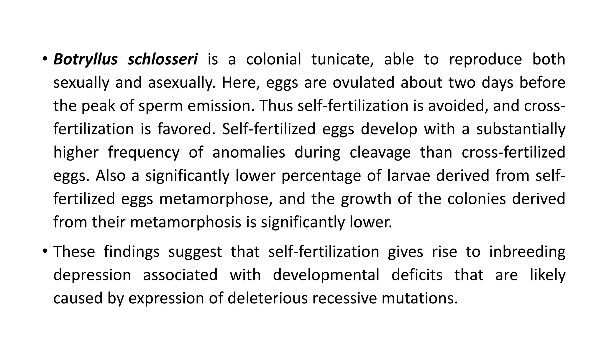 Reproduction and colony formation in tunicates.pptx