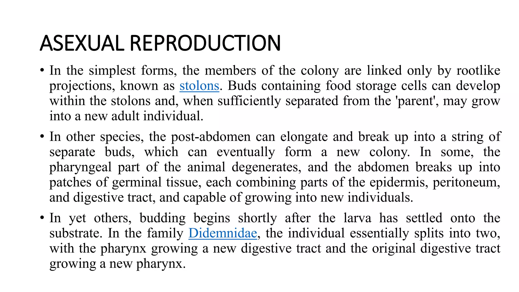 Reproduction and colony formation in tunicates.pptx