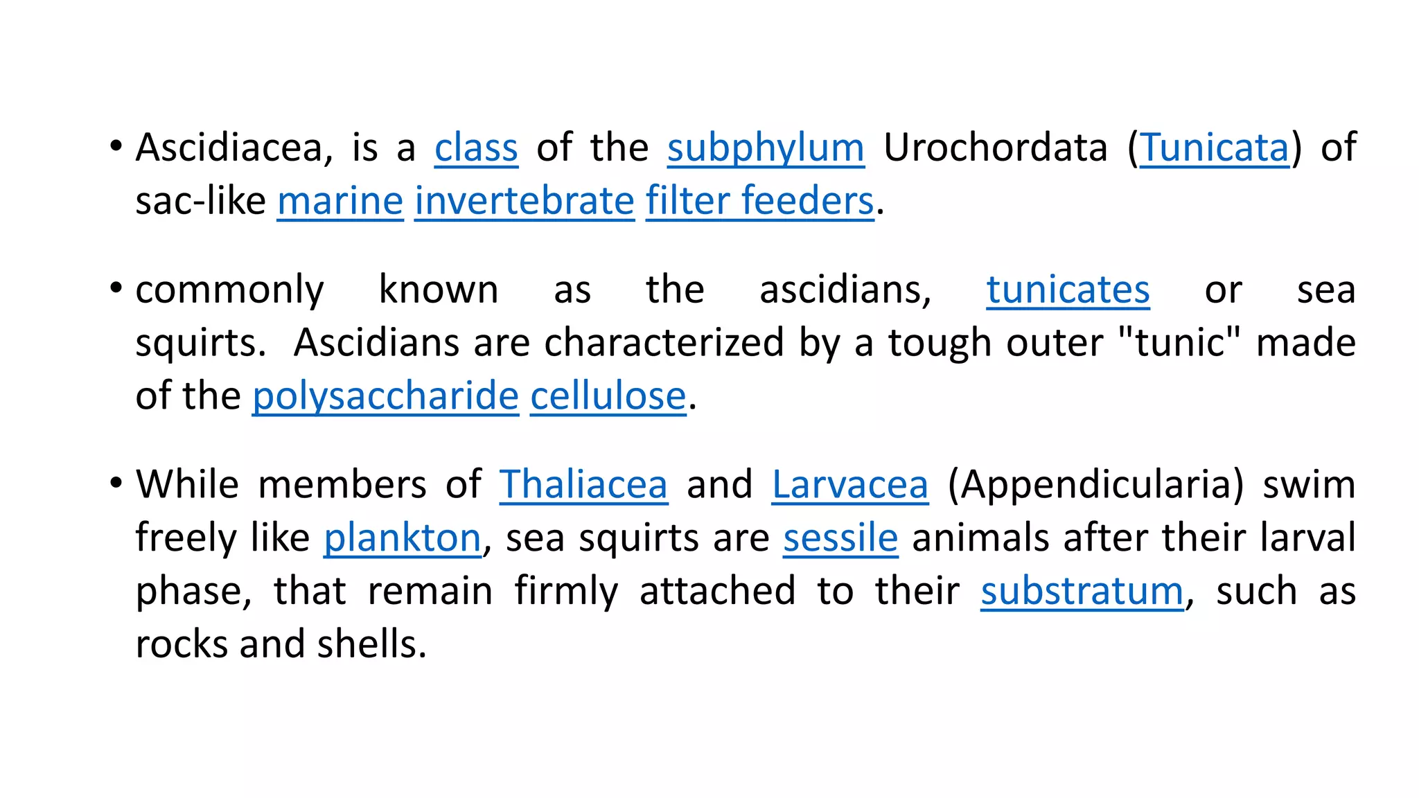 Reproduction and colony formation in tunicates.pptx