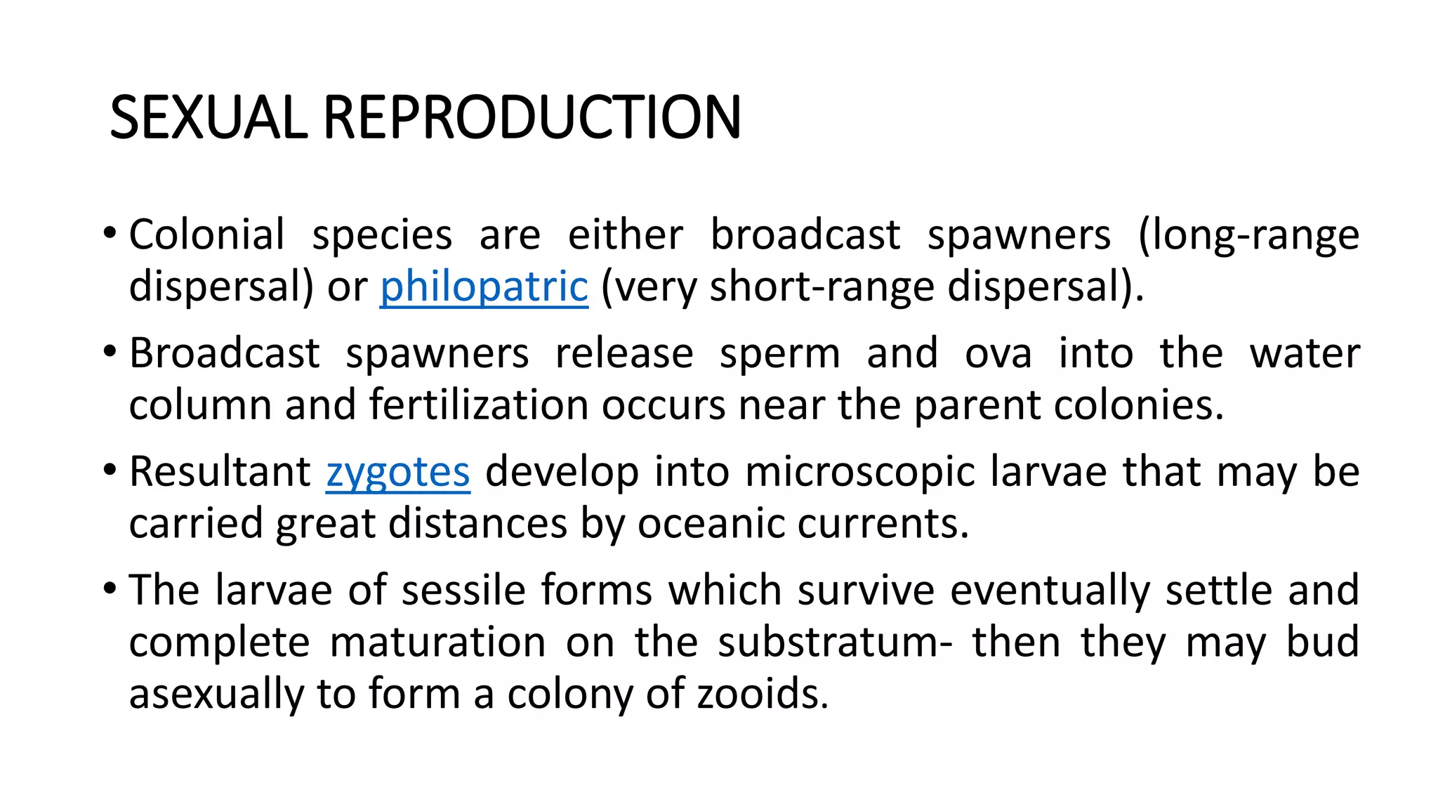 Reproduction and colony formation in tunicates.pptx