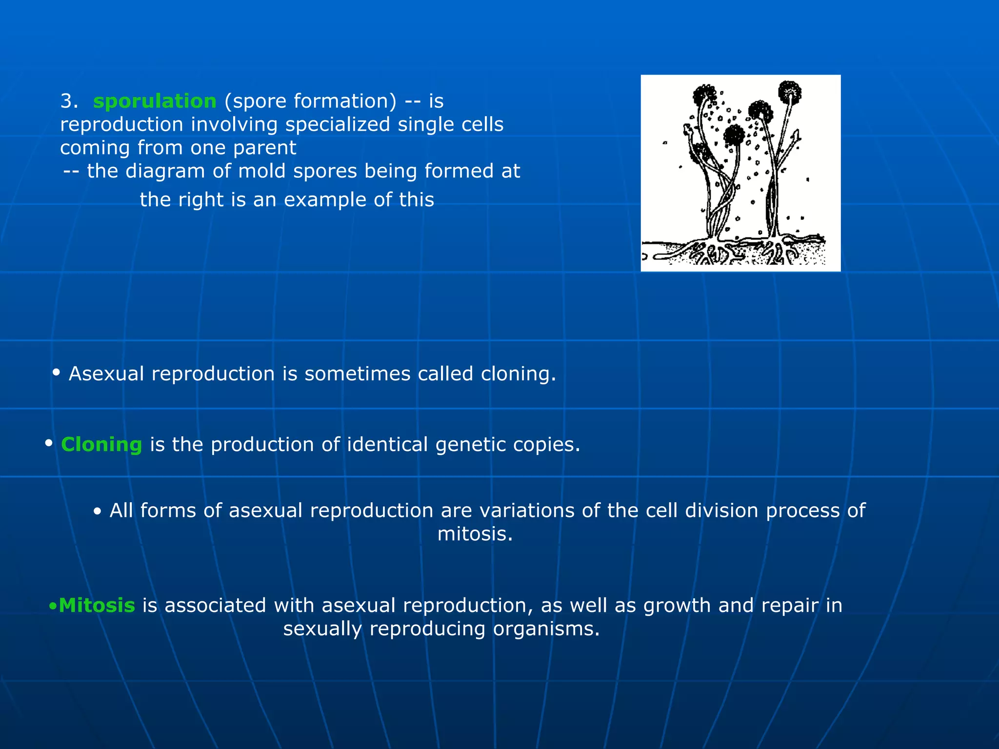 Reproduction and development | PPT