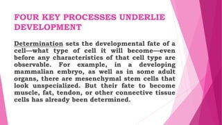 REPRODUCTION AND DEVELOPMENT.pptx-What is Reproduction? | PPT