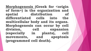 REPRODUCTION AND DEVELOPMENT.pptx-What is Reproduction? | PPT
