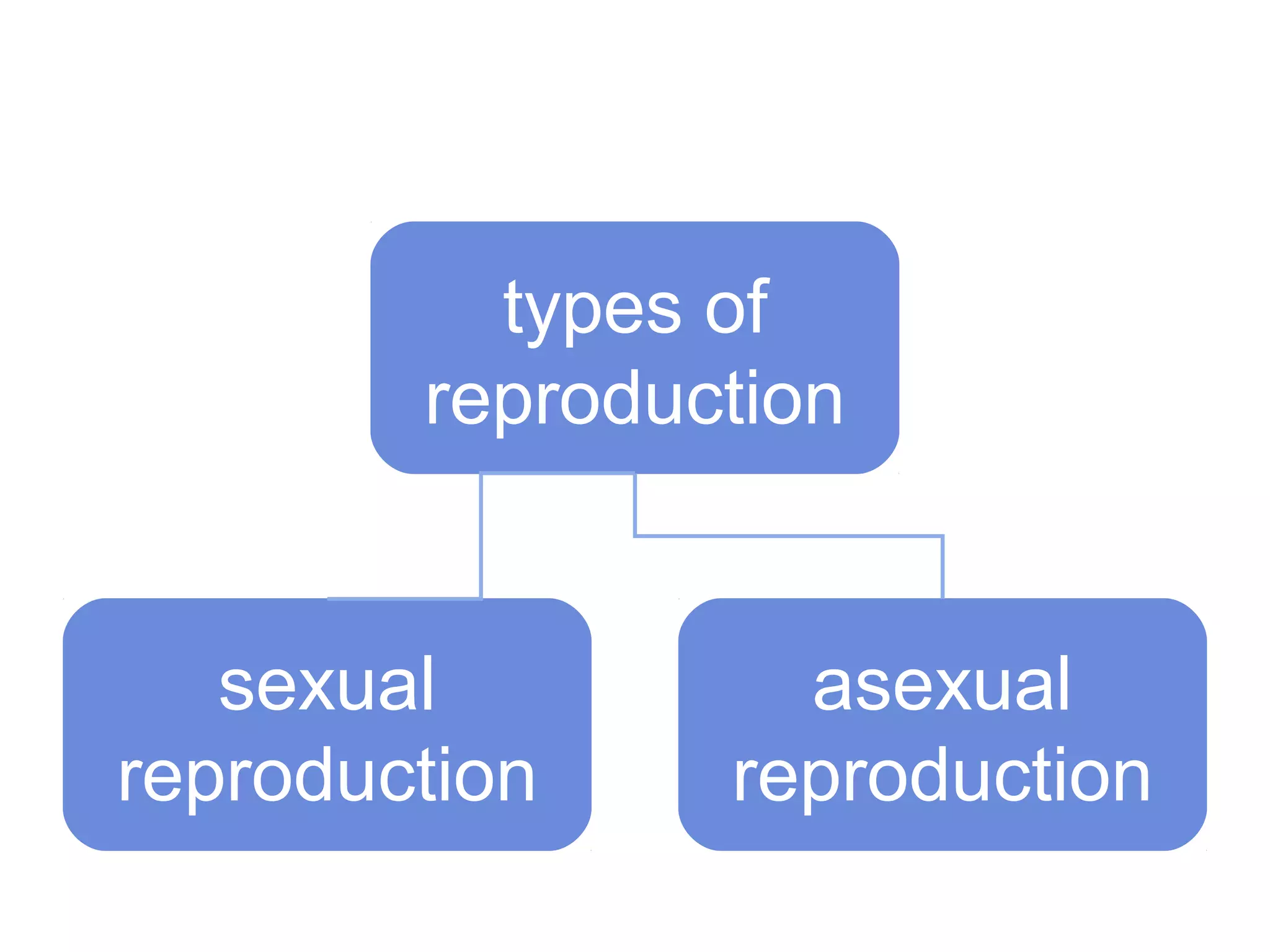 Reproduction and growth | PPT