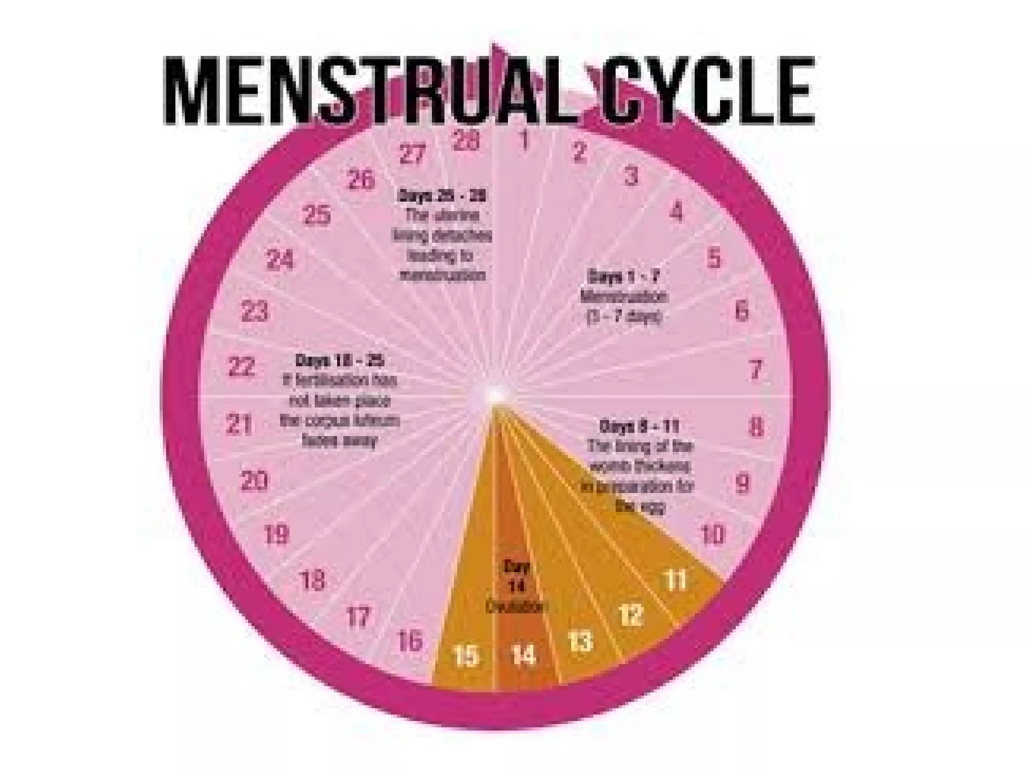 Reproduction and growth | PPT