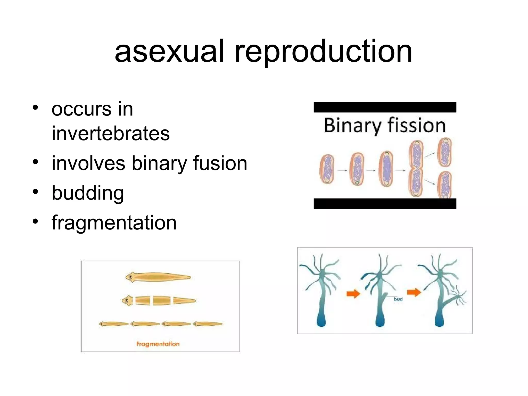 Reproduction and growth | PPT