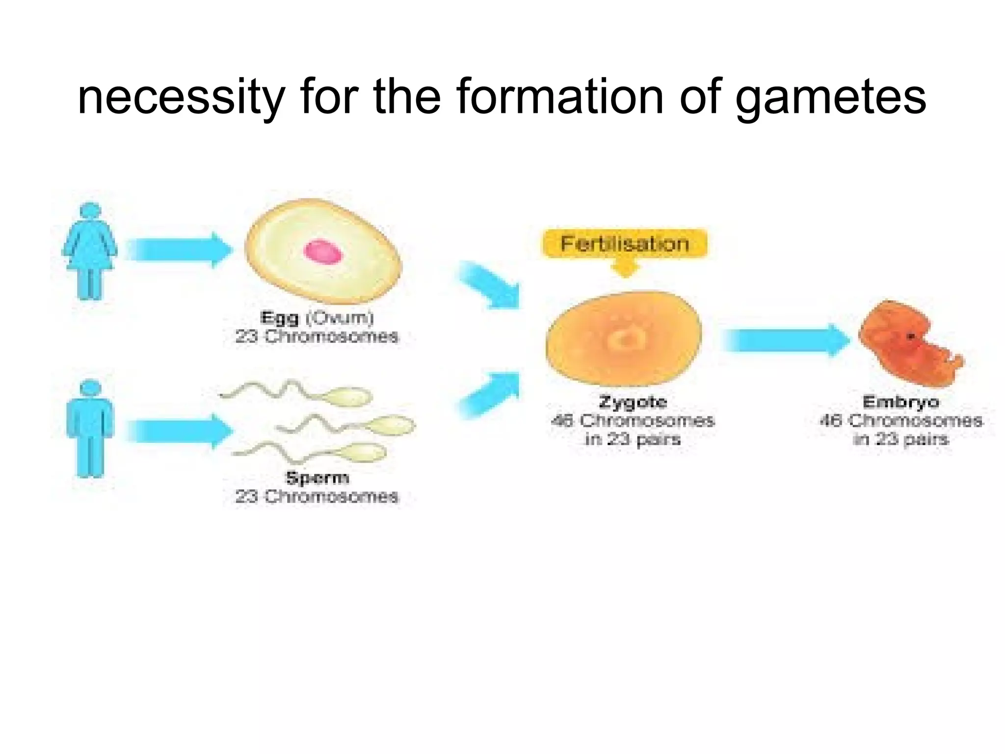 Reproduction and growth | PPT