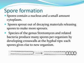 Reproduction and growth of bacteria by Tanzir | PPTX