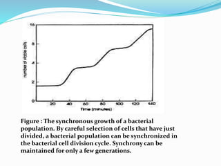 Reproduction and growth of bacteria by Tanzir | PPTX