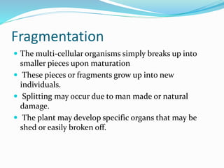 Reproduction and growth of bacteria by Tanzir | PPTX
