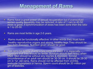 REPRODUCTION AND ITS MANAGEMENT IN SHEEP.ppt
