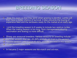 REPRODUCTION AND ITS MANAGEMENT IN SHEEP.ppt