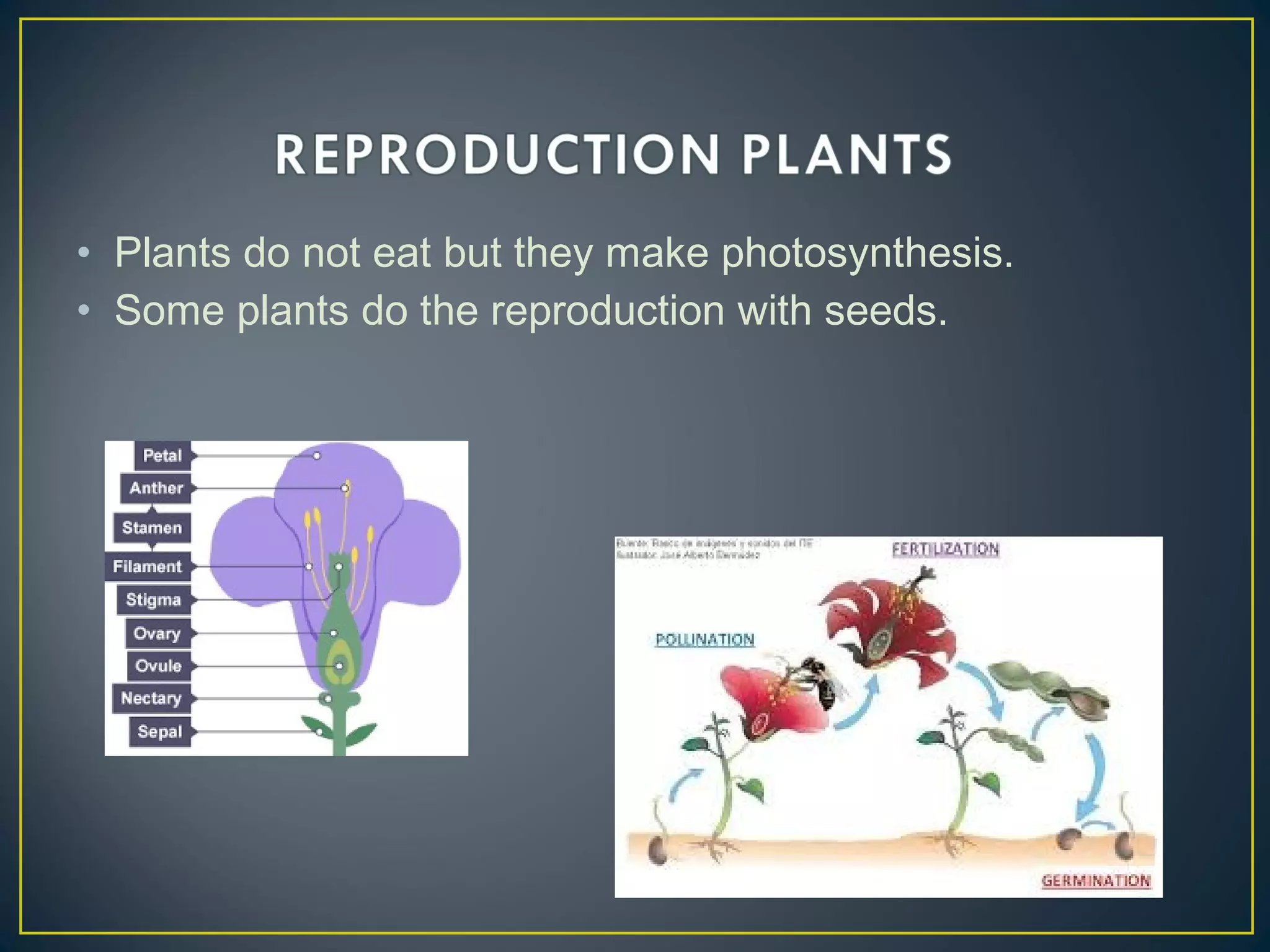 Animals Reproduction | PPT
