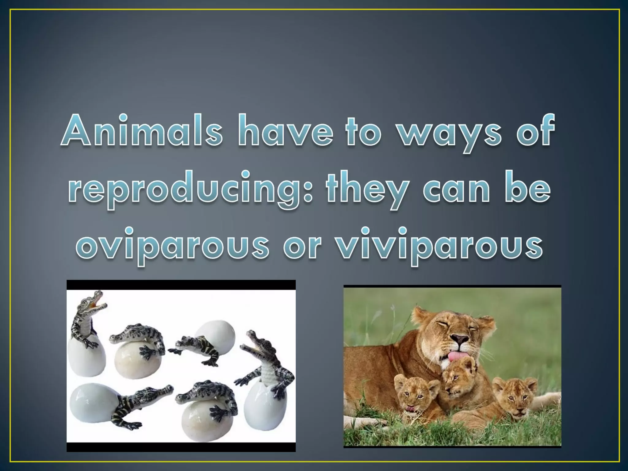 Animals Reproduction | PPT