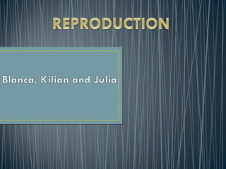 Animals Reproduction | PPT
