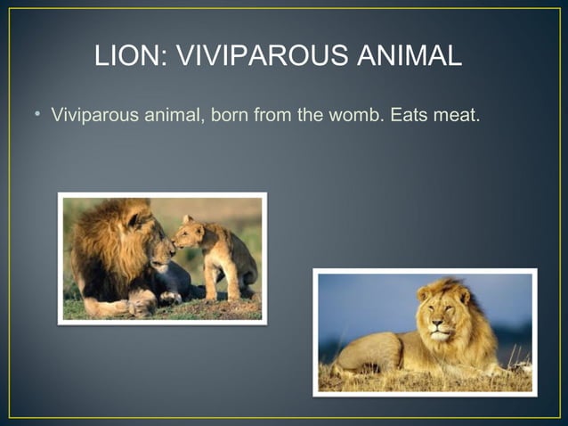 Animals Reproduction | PPT