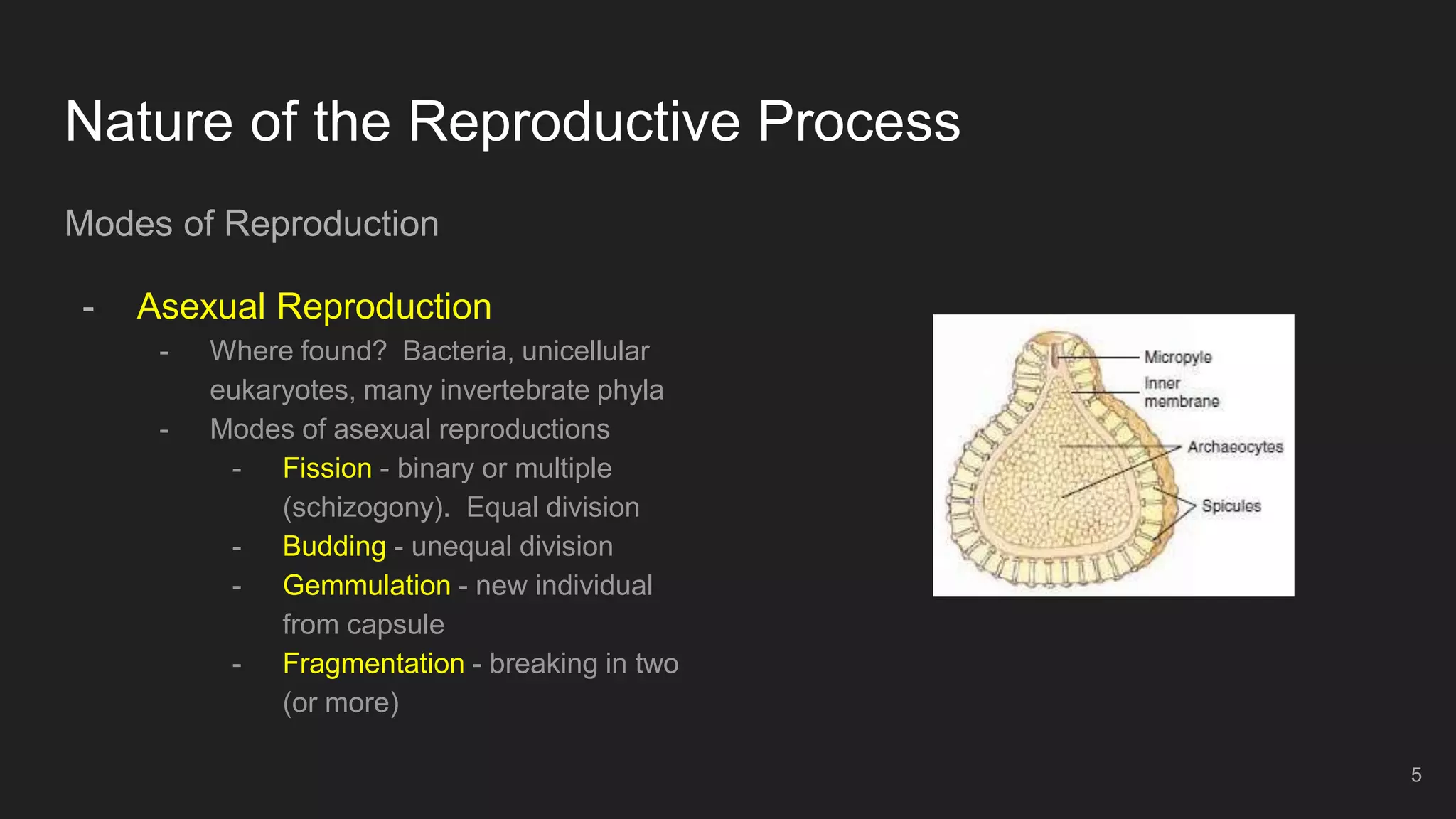 Reproduction | PPTX