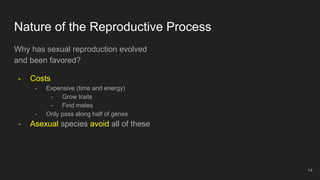 Reproduction | PPTX
