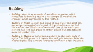 Reproduction in palnt and organisams | PPT