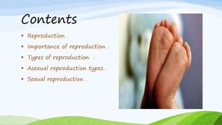 Reproduction in palnt and organisams | PPTX