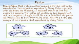 Reproduction in palnt and organisams | PPT