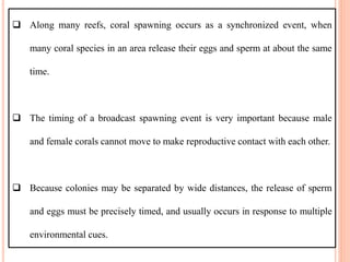 Reproduction corals | PPT