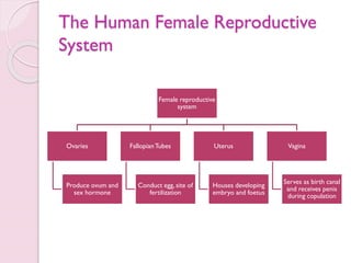 Reproduction, development and growth | PPTX