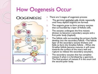 Reproduction, development and growth | PPT