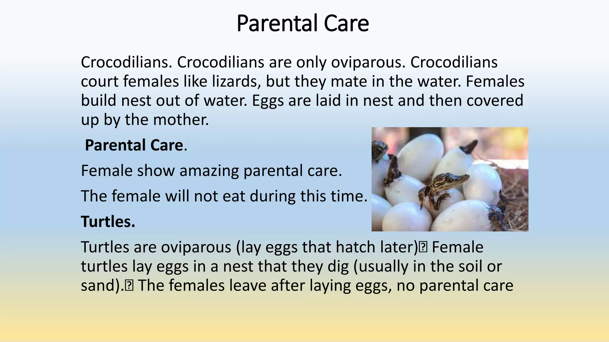 Reproduction & development in reptiles | PPTX | Infertility ...