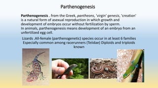 Reproduction & development in reptiles | PPTX | Infertility ...