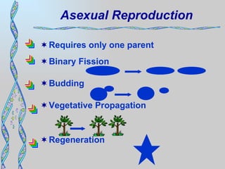 Reproduction dna replication | PPT | Infertility | Reproductive Health