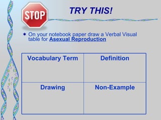 Reproduction dna replication | PPT | Infertility | Reproductive Health