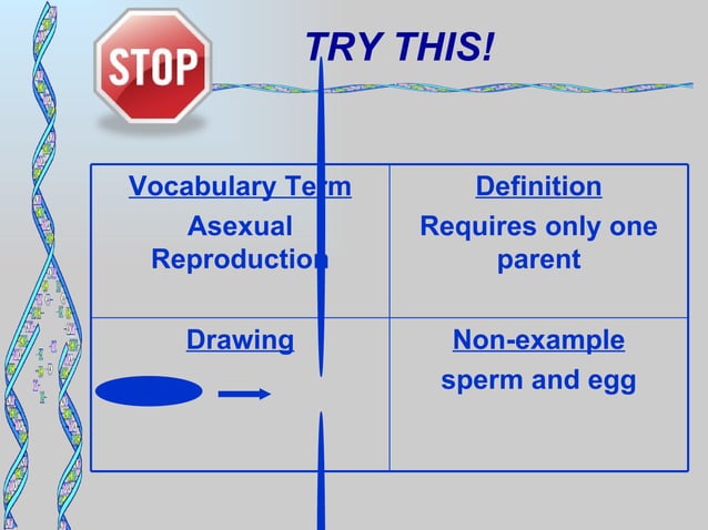 Reproduction dna replication | PPT | Infertility | Reproductive Health