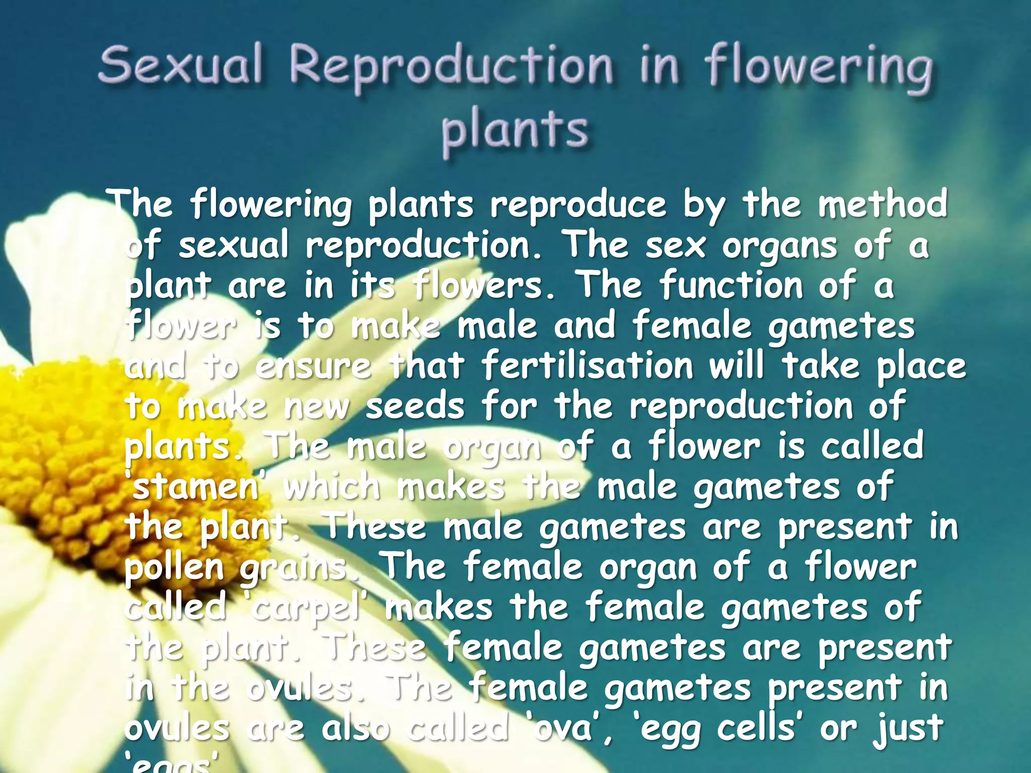 Reproduction of plants and animals group project | PPTX