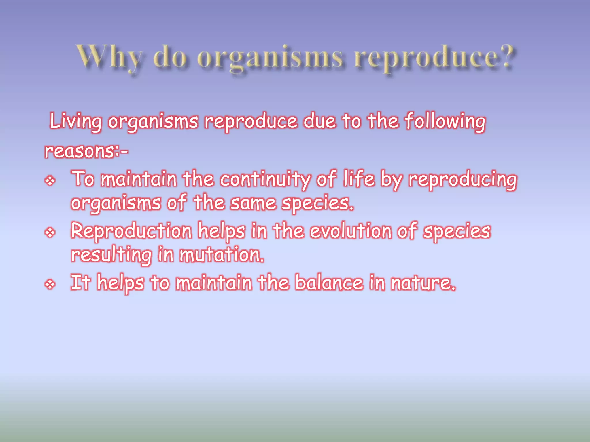 Reproduction of plants and animals group project | PPTX