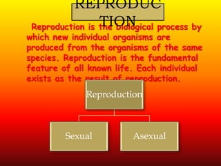 Reproduction of plants and animals group project | PPTX