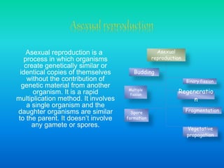 Reproduction of plants and animals group project | PPTX