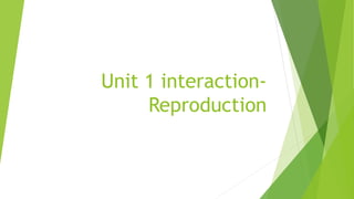 Reproduction for year 6 | PPTX