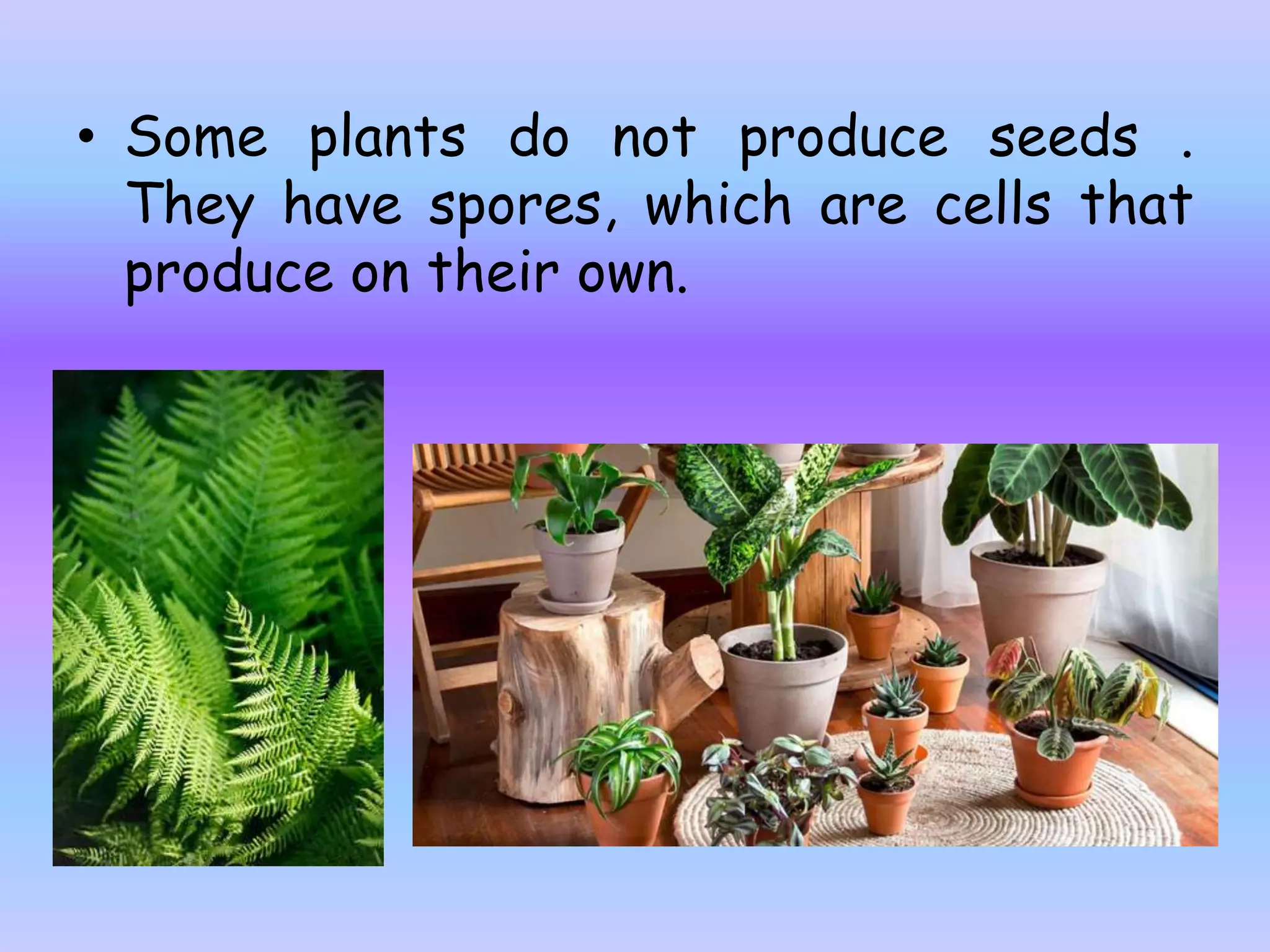 Reproduction grade 3 | PPTX