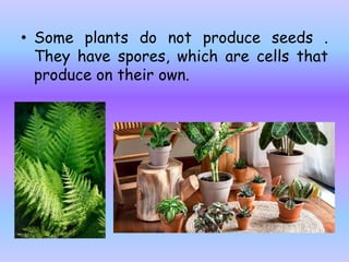 Reproduction grade 3 | PPTX